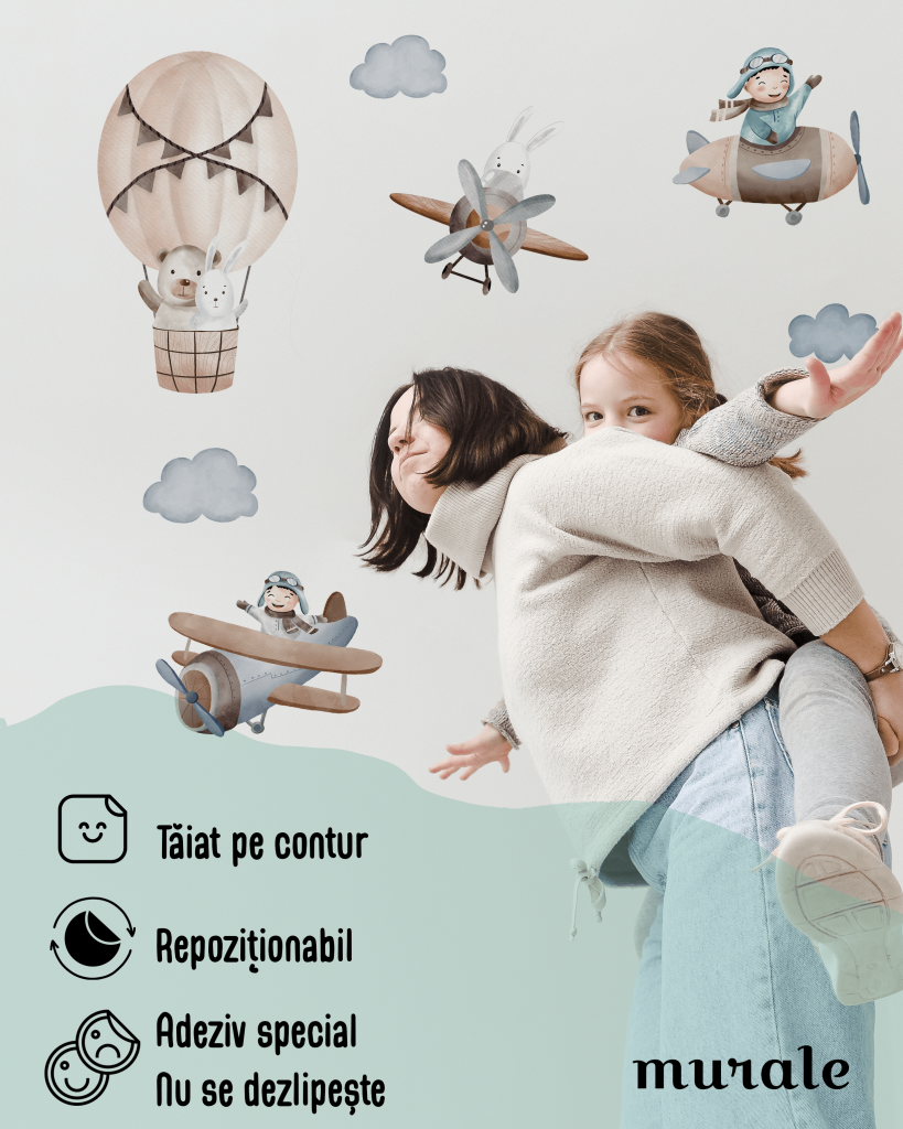 Autocolant Avioane de perete - Murale